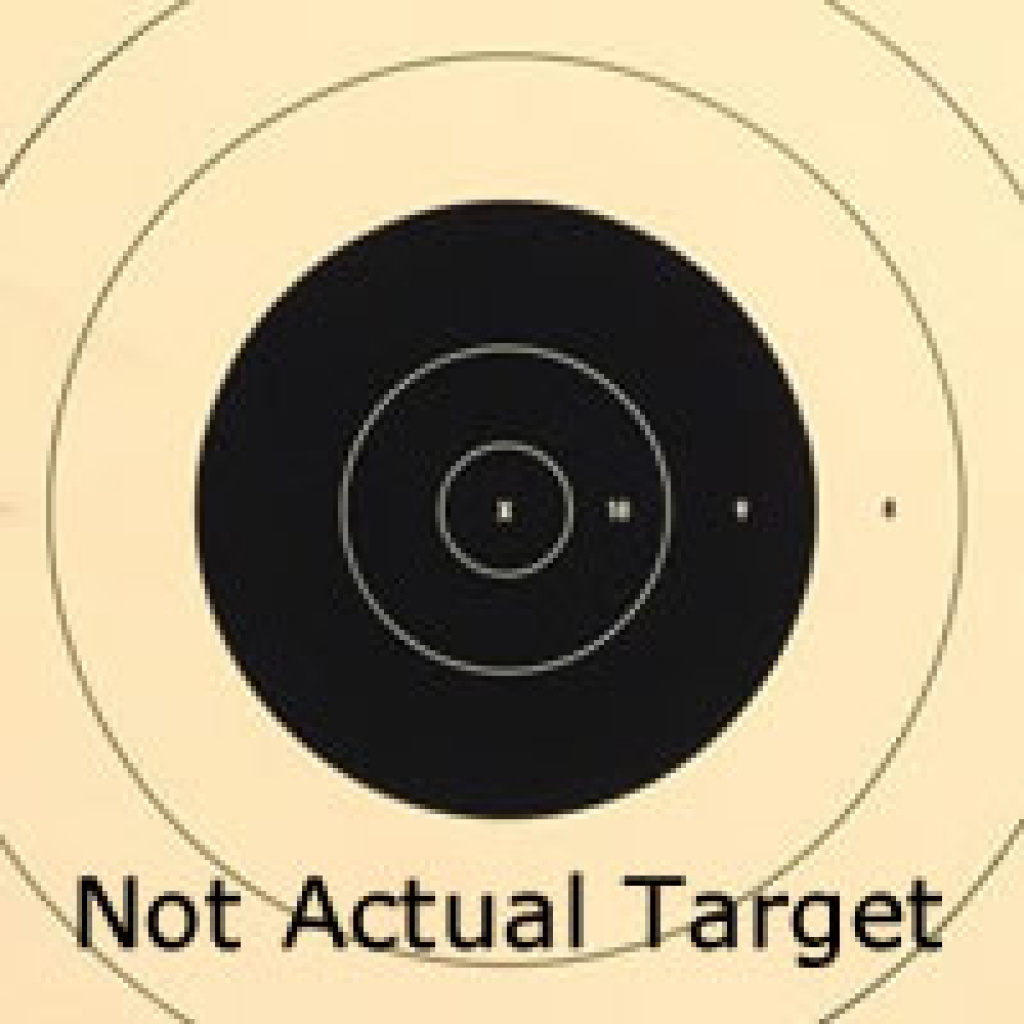 Target SR1-C Center for SR1 – 100 Yard Reduction of 200 Yard Military ...