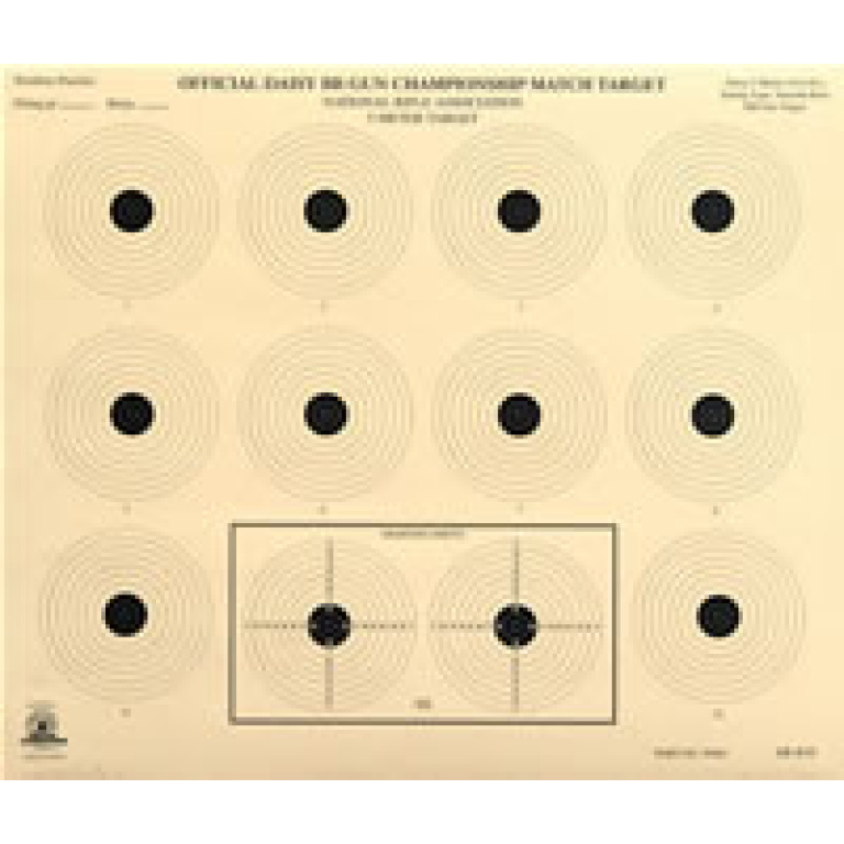 Target AR 4/10 5 Meter Air Rifle 10 Bullseye BB Gun / Pellet 177 Cal ...