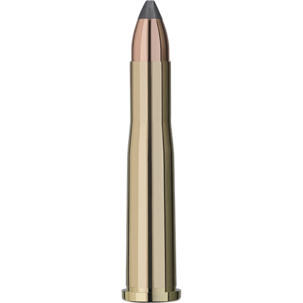 RWS 22 Hornet TMS SP 3.0g (46 Gr) Ammunition Box 20 - Freeland's Sports LLC